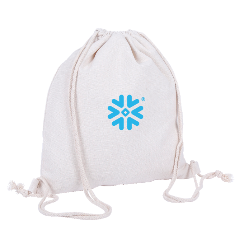 Bags - Snowflake Snowstore